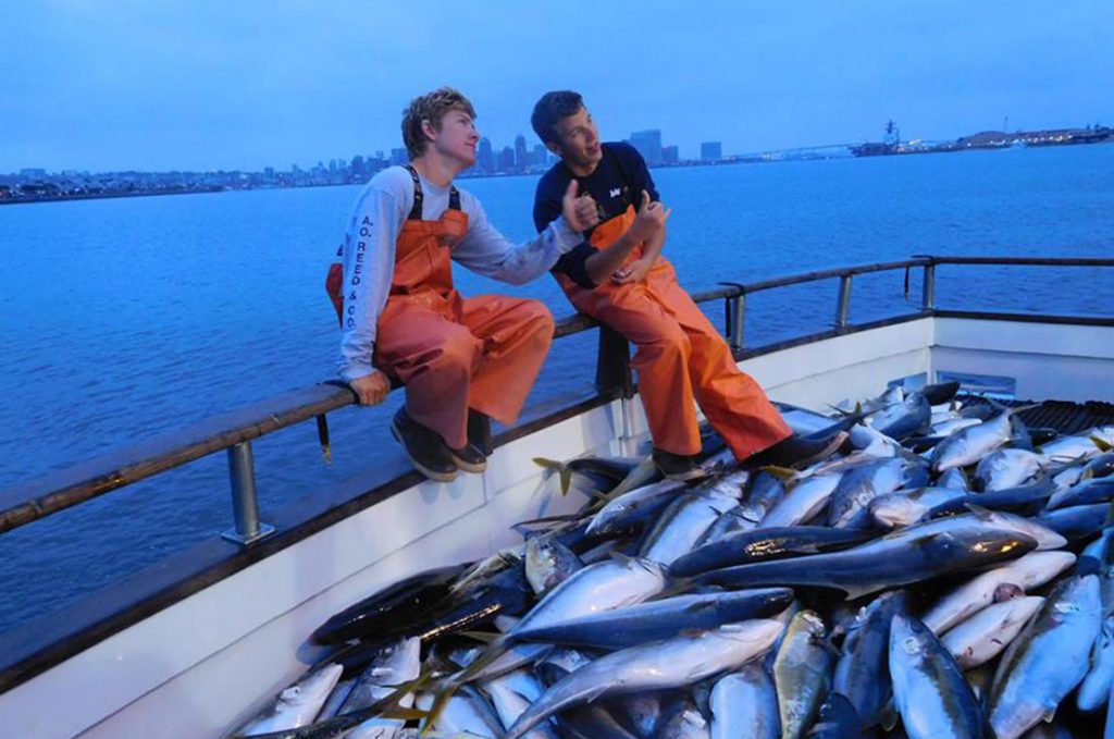 Great White Shark Cage Diving at Guadalupe Island with Islander Charters